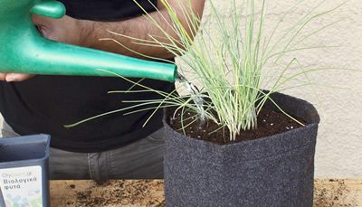 Όλα τα άρθρα | CropScience